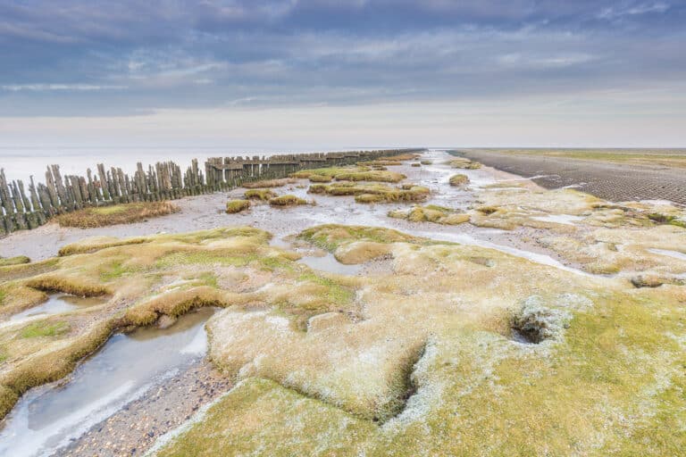 Ontdek de mooiste natuurgebieden Friesland voor avonturiers